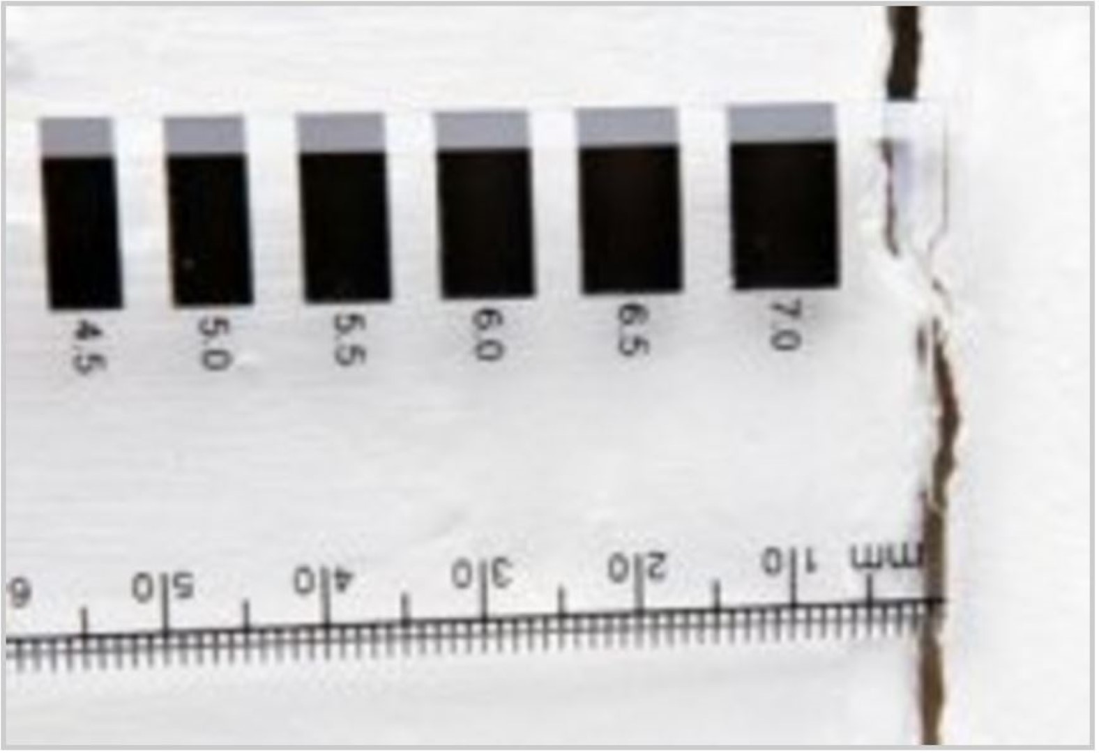 Avongard Crack Width Gauge - tabal.ng : tabal.ng